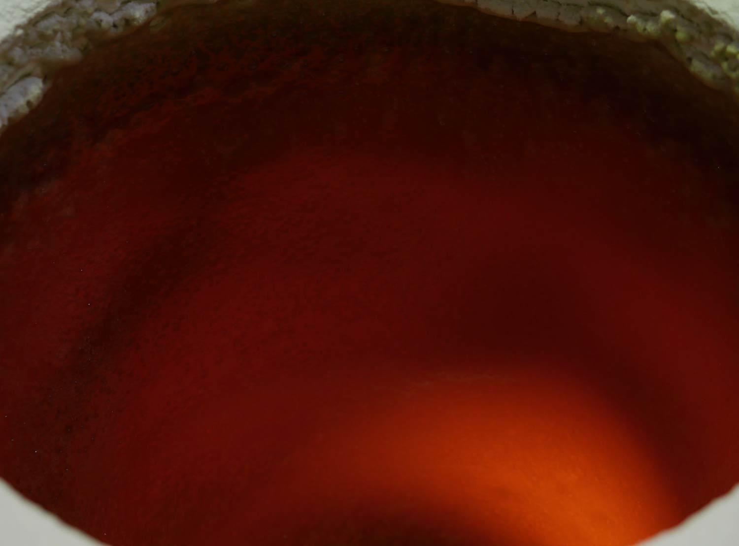 Diatom - Agency in Biosphere