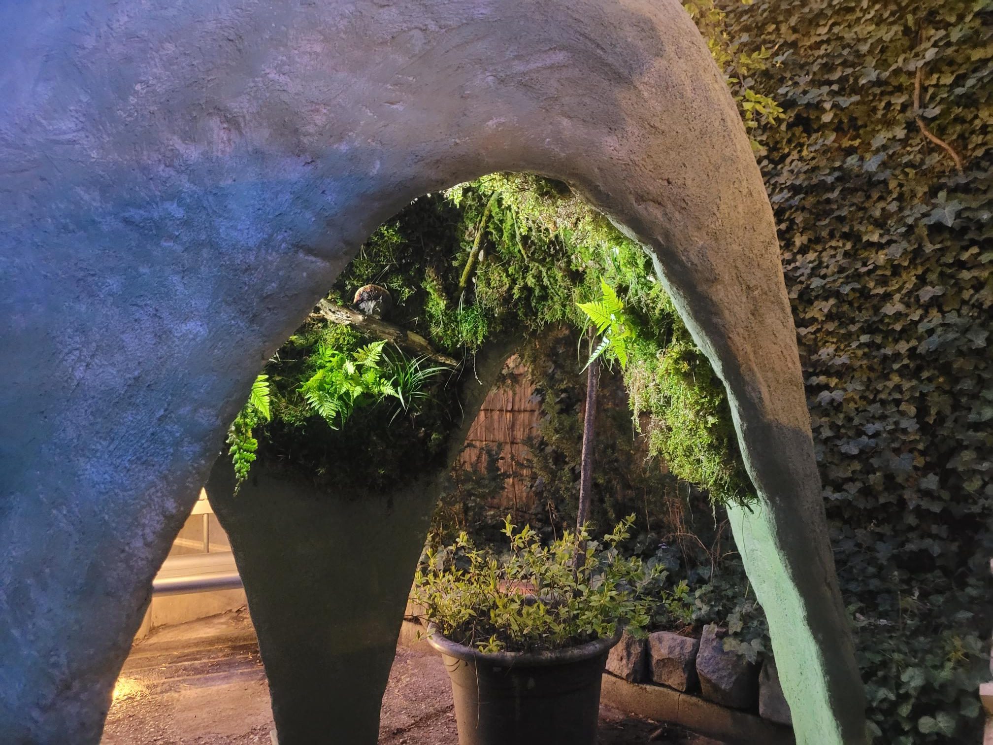 Mooshelm / Moss Helmet - Agency in Biosphere